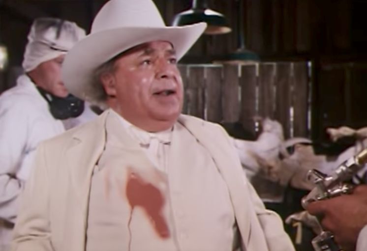 Dukes of Hazzard Facts: 25 Fun Things About the Show You Didn't Know