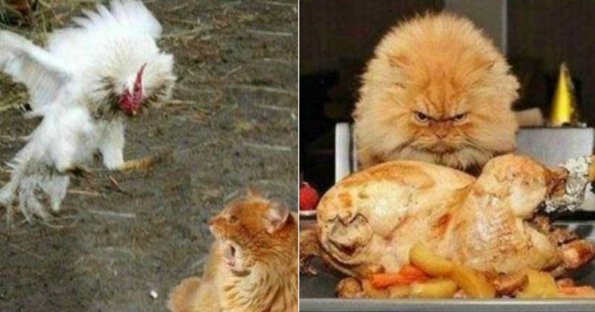 Hilarious Before and After Photos: What Happened to These People?
