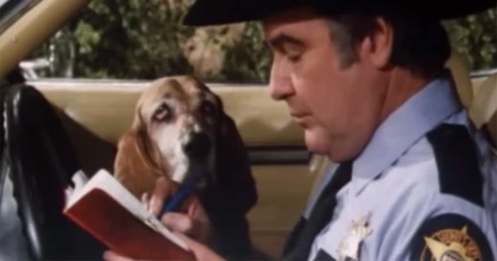Dukes of Hazzard Facts: 25 Fun Things About the Show You Didn't Know