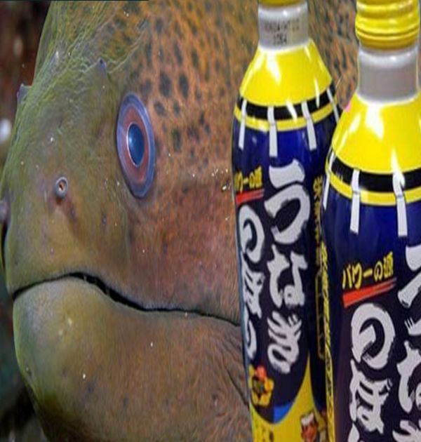 Gross Soda Flavors that Exist All Around the World that