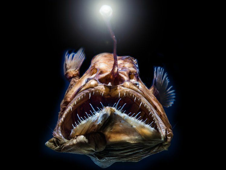 Terrifying Ocean Pics That Will Haunt Your Dreams Tonight
