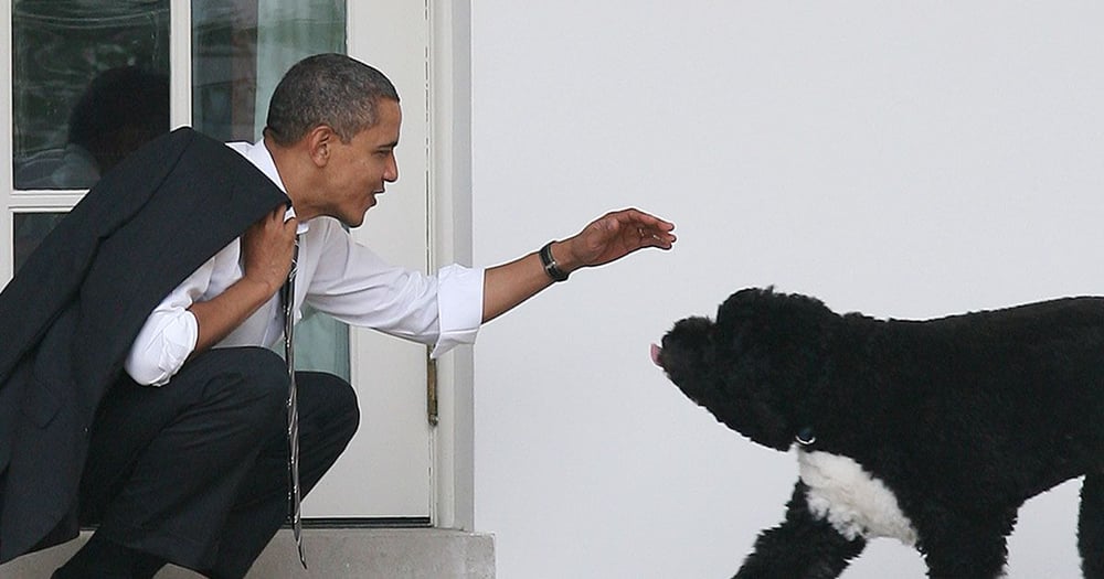United States Presidents With Their Pets - Your Royals