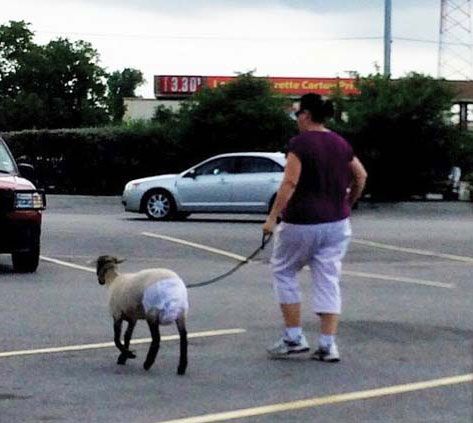Funny Walmart Shoppers: Pictures Capture Weirdest Customers