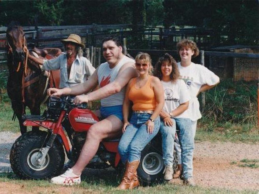 André the Giant: The Larger Than Life Story of a Pop Culture Icon