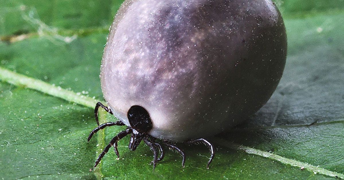 Weirdest Allergies People Actually Experience Everyday