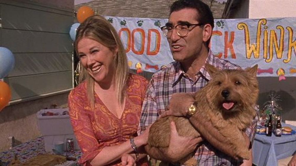 Have You Seen Any Of These Iconic Comedies?