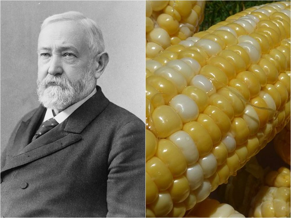 President Favorite Foods: Every American Leader's Preferred Dish