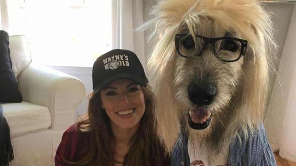 Dogs That Look Like Humans and Their Hilarious Features