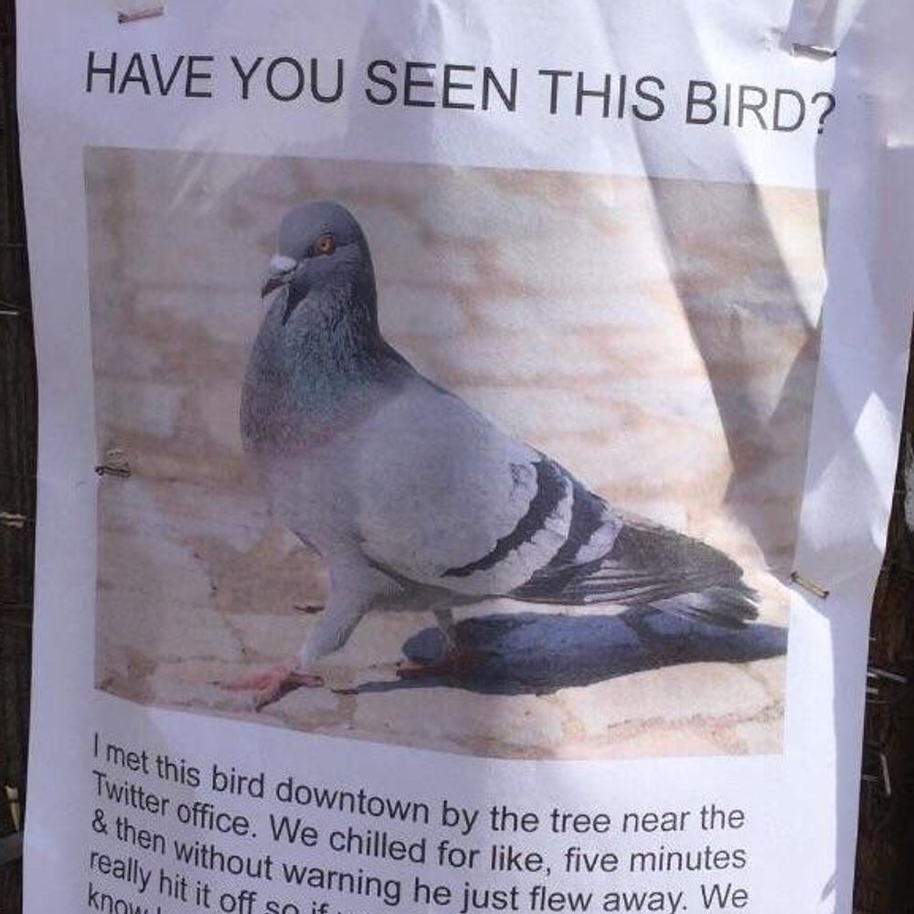 Lost And Found Signs Thatll Make You Stop In Your Tracks