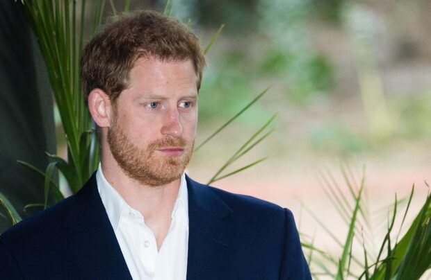 5 Interesting Facts About Prince Harry - Your Royals