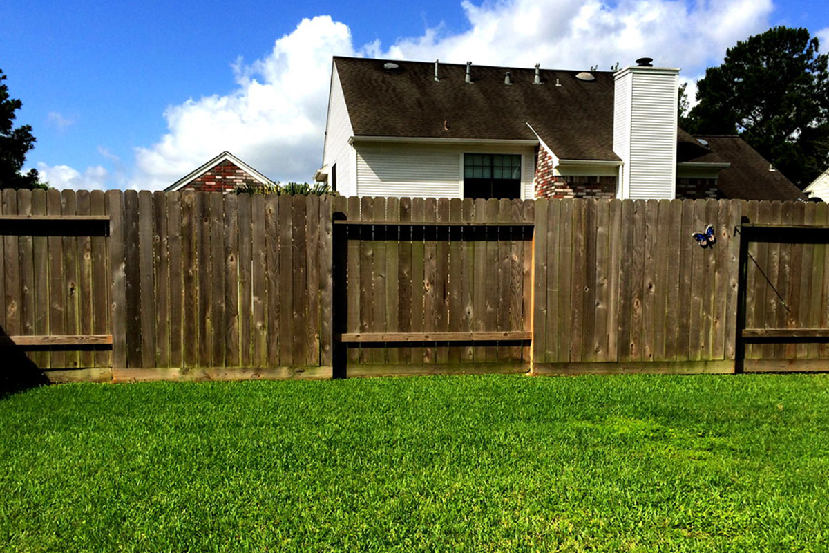 11 Affordable Backyard Fencing Solutions - Spilled Daily