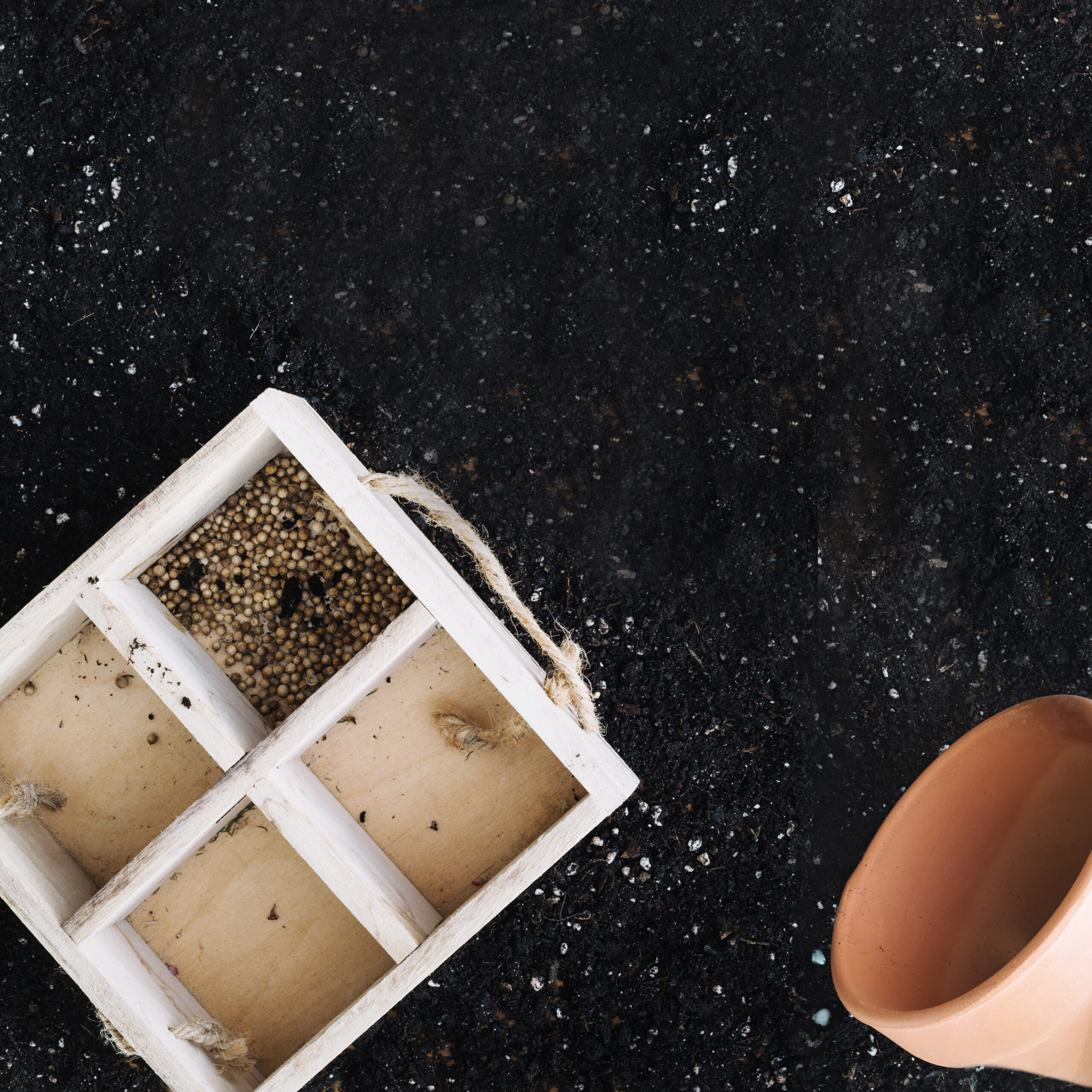 Homemade Charcoal Filter and Apartment Compost Solutions
